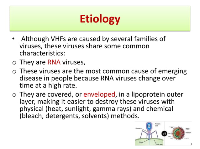 Crimean-Congo hemorrhagic fever (CCHF) Approach | PPTX | Infectious ...