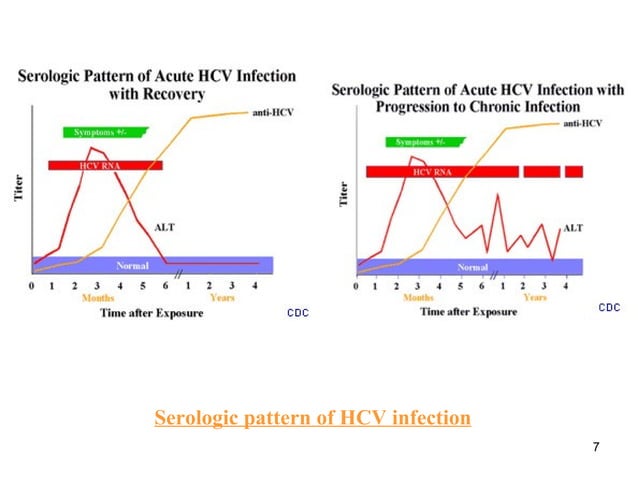 Viral Hepatitis | PPT | Diseases and Conditions | Medical Health