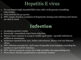 Viral hepatitis BY Akash Sengupta (2nd year medical student) | PPTX ...