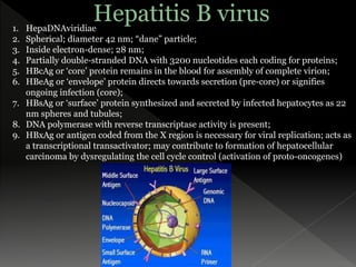 Viral hepatitis BY Akash Sengupta (2nd year medical student) | PPTX ...