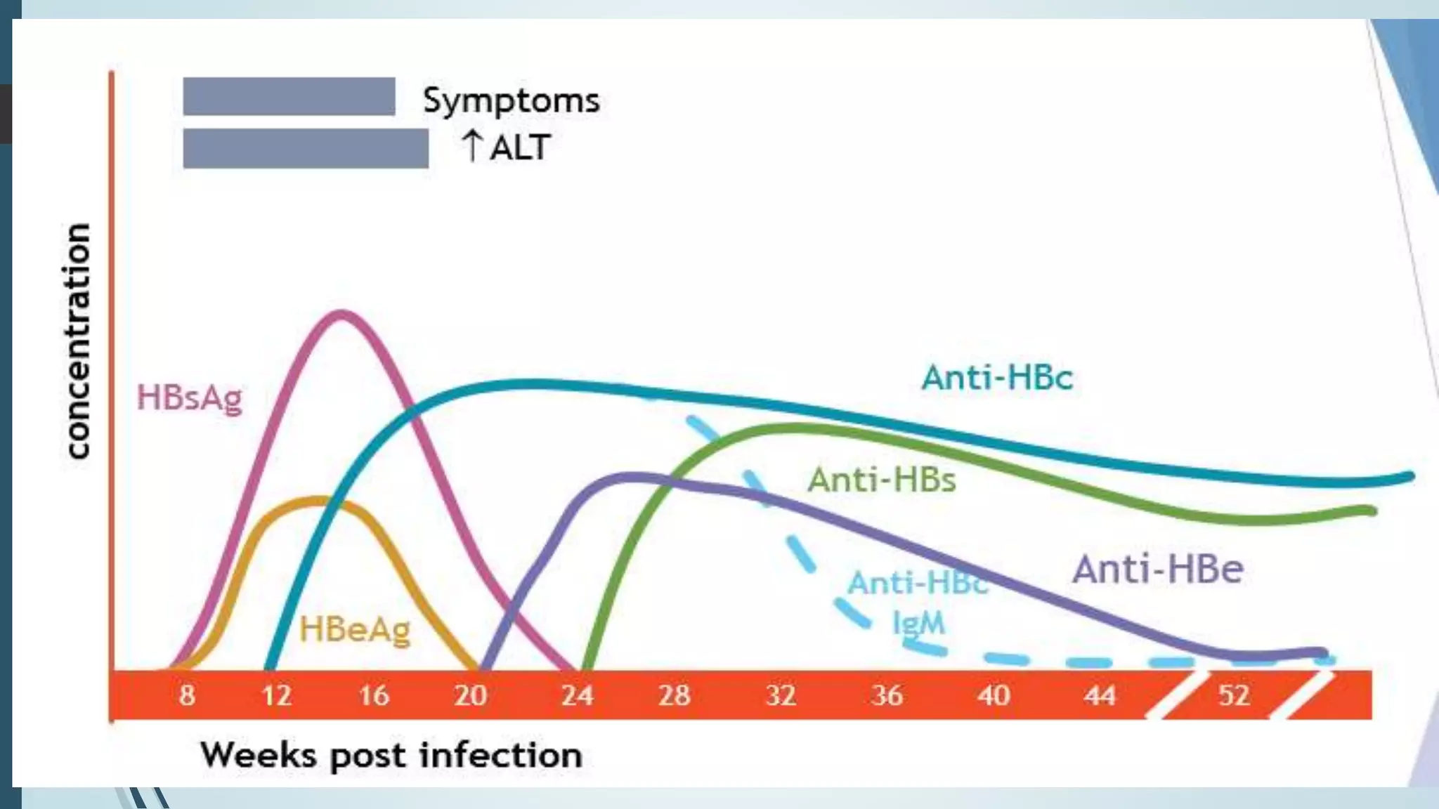 Viral hepatitis | PPTX