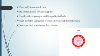 Viral hepatitis | PPTX | Infectious Diseases | Diseases and Conditions