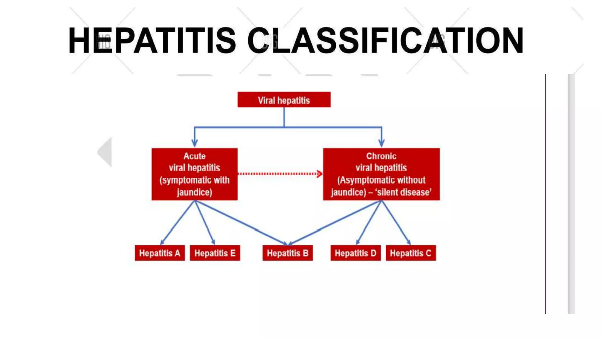 Viral hepatitis | PPTX | Infectious Diseases | Diseases and Conditions