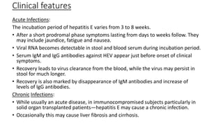 Viral hepatitis | PPTX