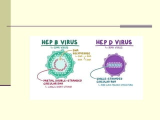 Viral Hepatitis.ppt