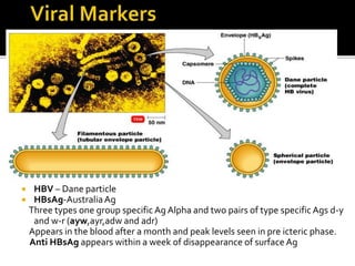 viral hepatitis in children its types .pptx