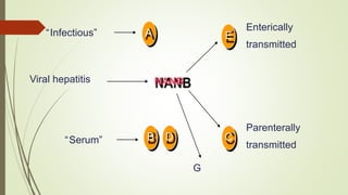 VIRAL HEPATITIS, RISK FACTORS AND MANAGEMENT.pptx | Infectious Diseases ...