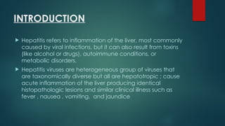 VIRAL HEPATITIS.pptx mbbs 2nd year pathology | PPTX