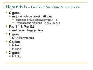 Viral Hepatitis.ppt for healthcare professionals | PPT