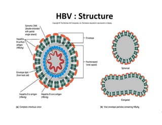 Epidemiology of Viral Hepatitis2017 | PDF
