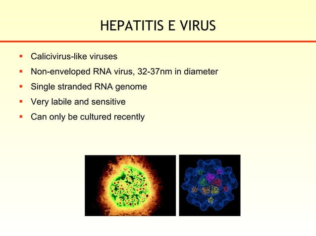 Viral hepatitis a+e | PPT