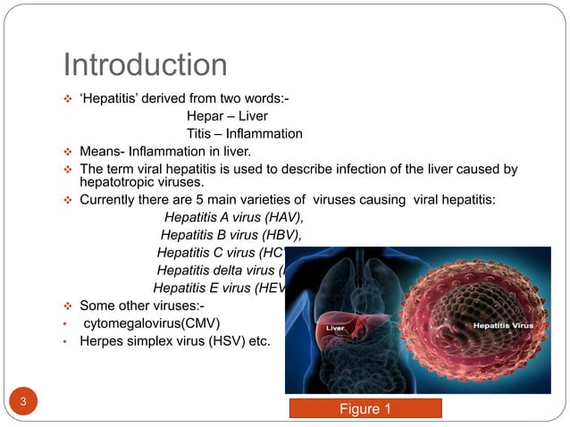 Viral hepatitis :- Pathophsiology of Hepatitis B | PPT