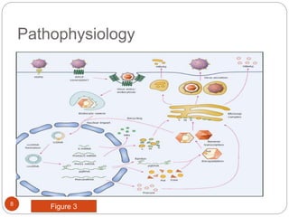 Viral hepatitis :- Pathophsiology of Hepatitis B | PPTX