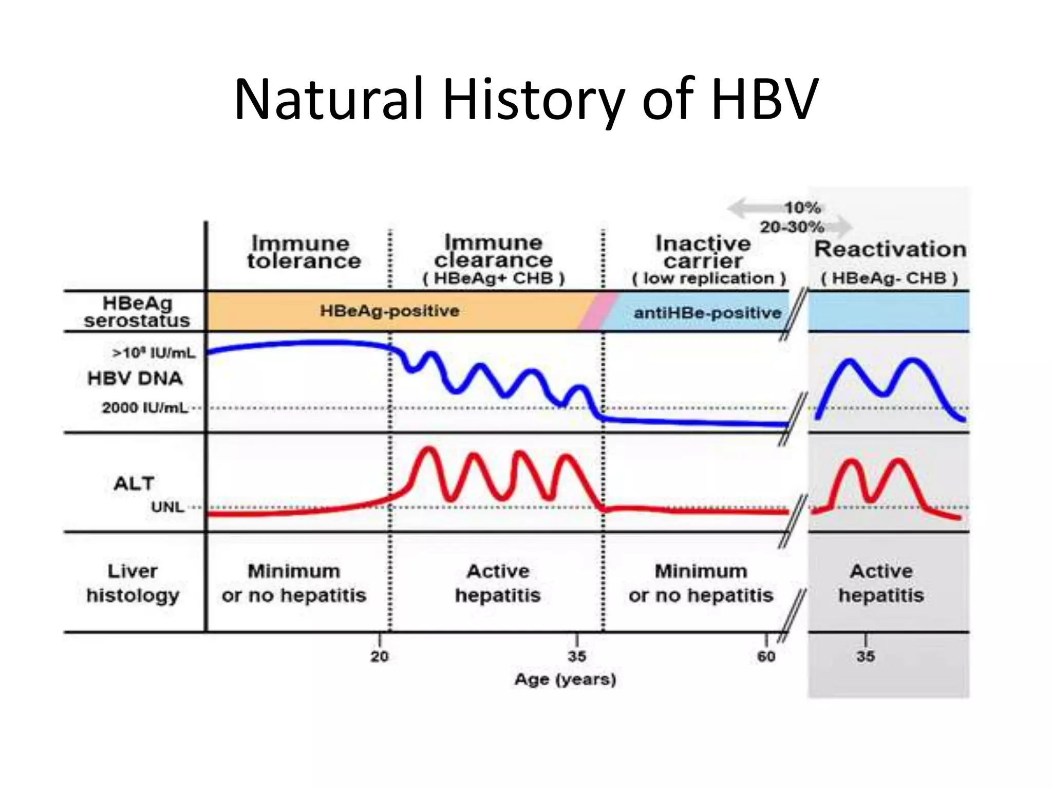 Viral hepatitis class.pptx
