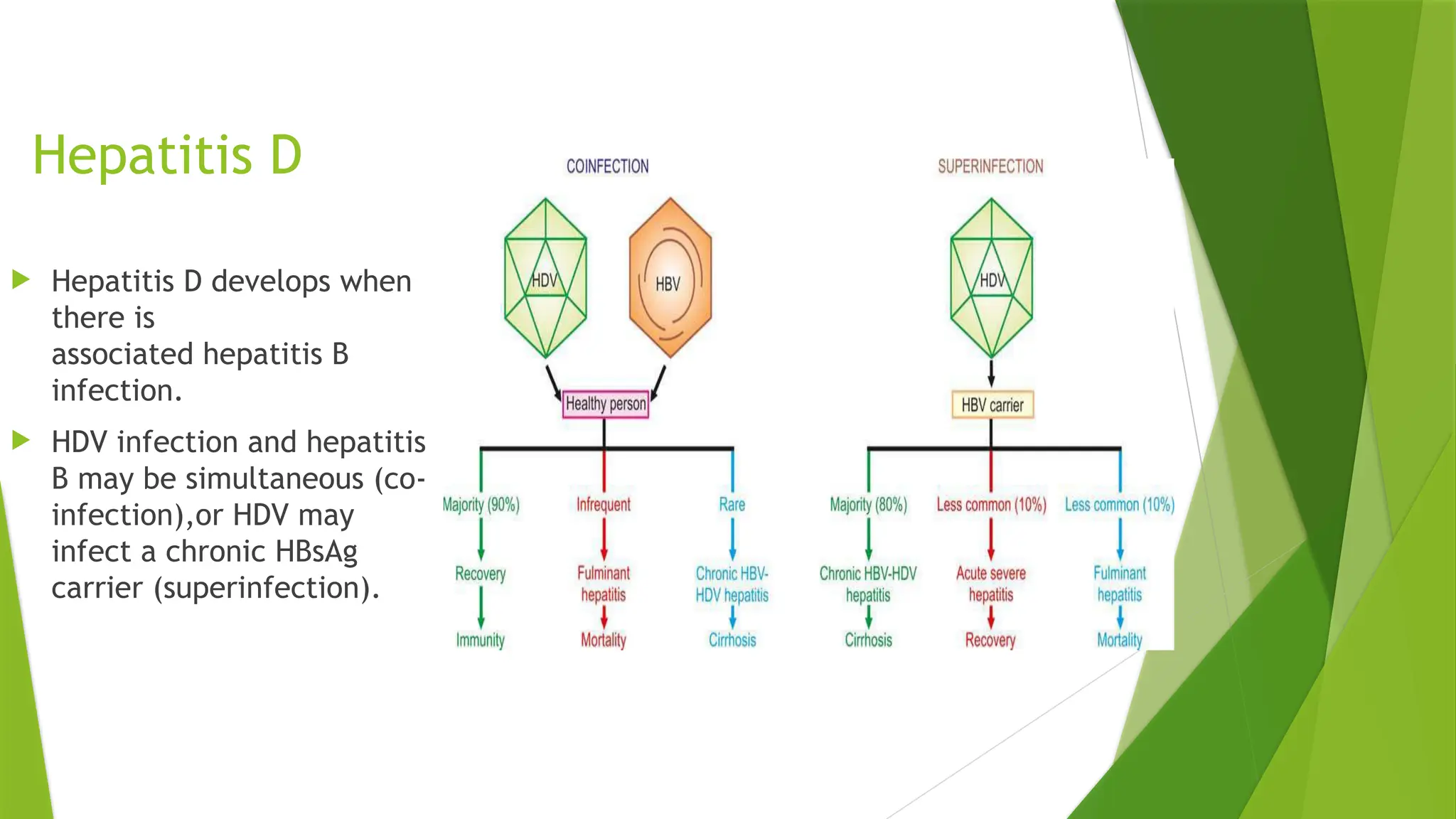 VIRAL HEPATITIS ETILOGICAL CLASSIFICATION.pptx