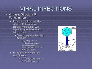 Immune response to the infectious diseases | PPT
