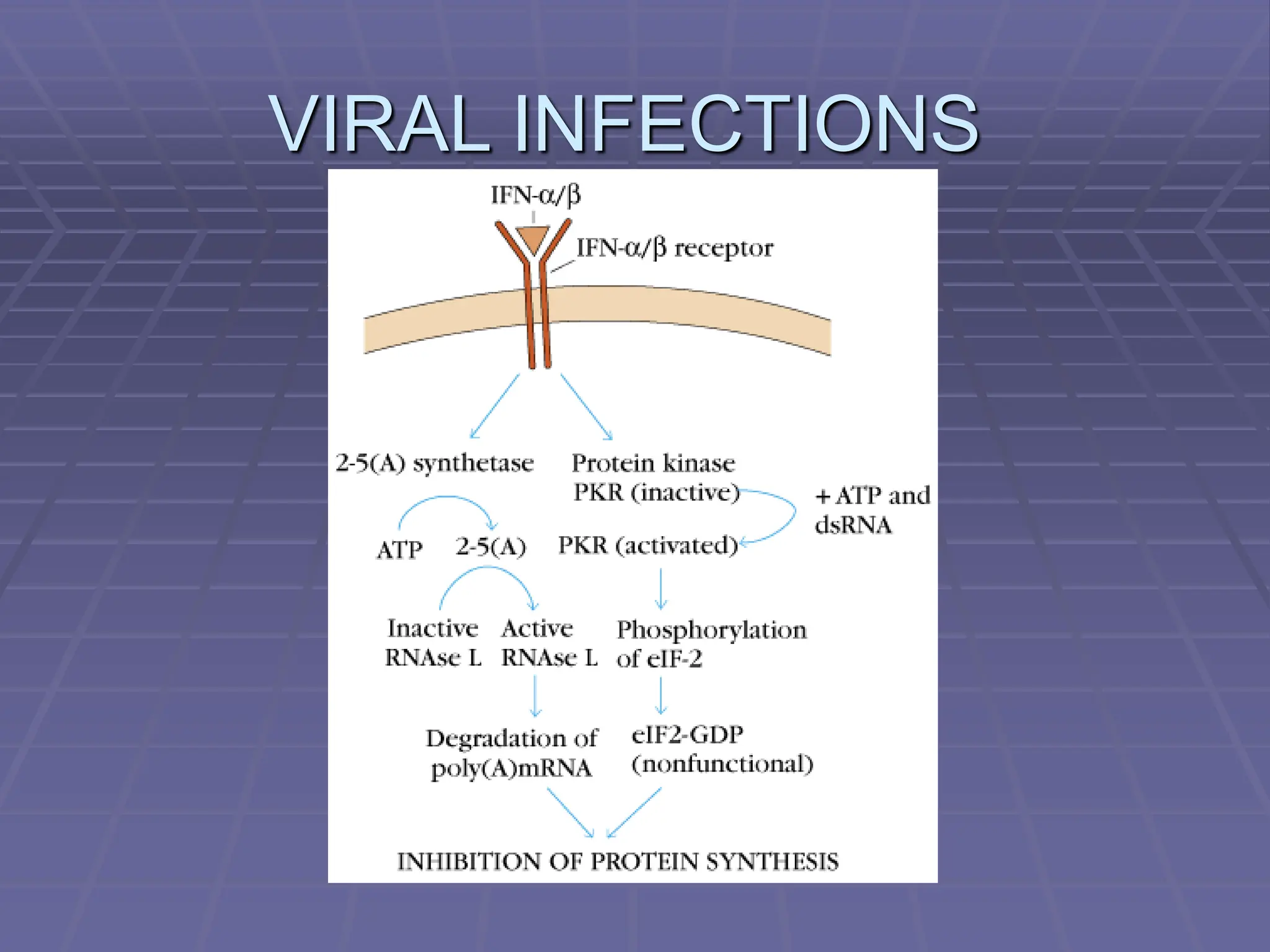 Viral infection. immune response to infectious disease ppt | PPT