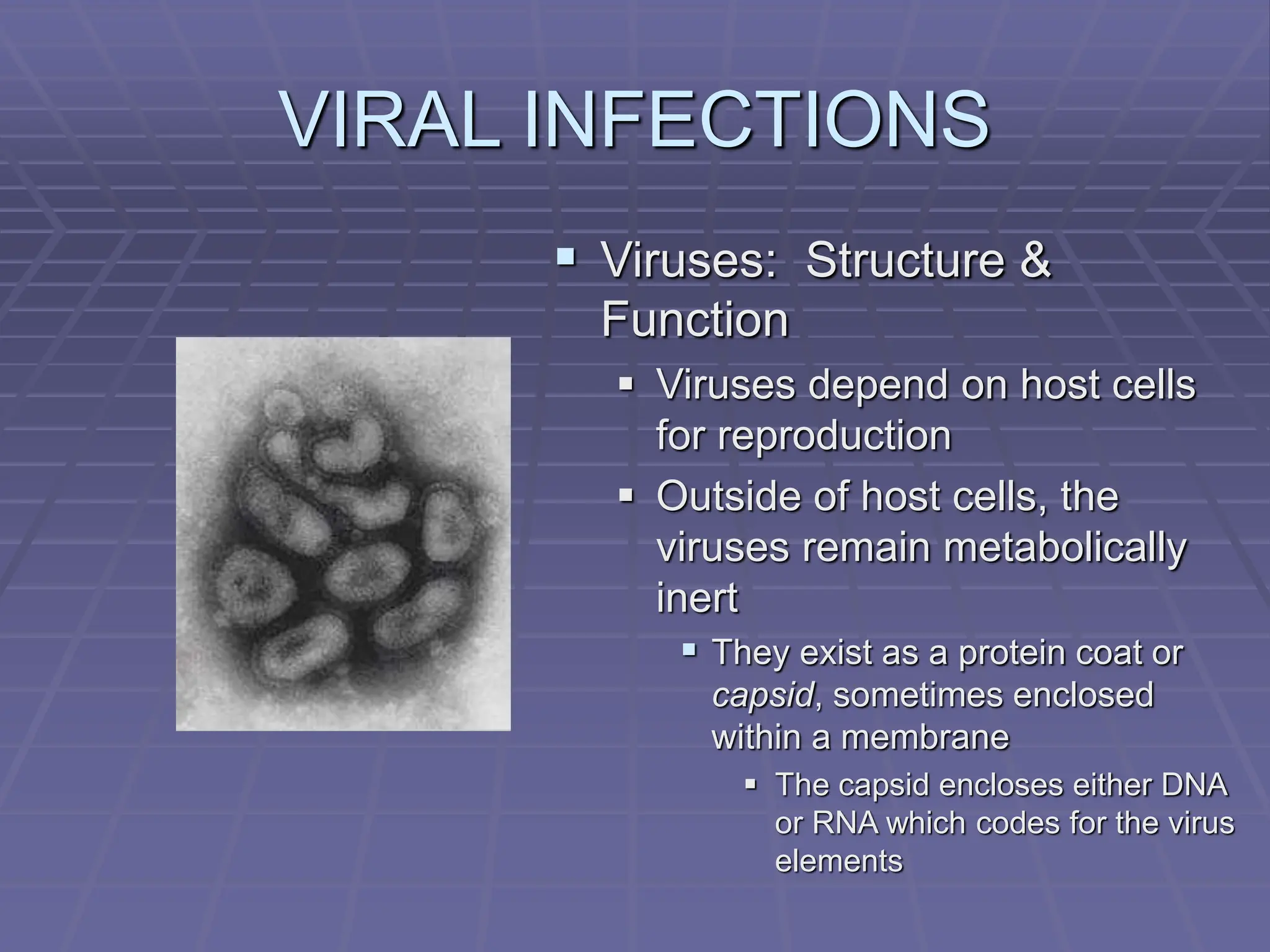 Viral infection. immune response to infectious disease ppt | PPT