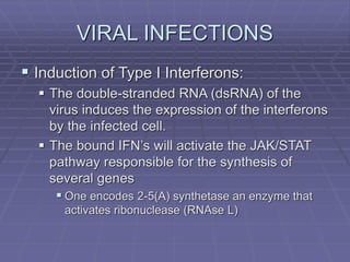 Viral infection. immune response to infectious disease ppt | PPT