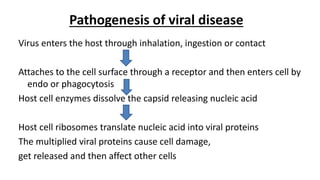 VIRAL INFECTIONS BY DR NEETI DR VASANTRAO PAWAR MEDICAL COLLEGE NASHIK ...