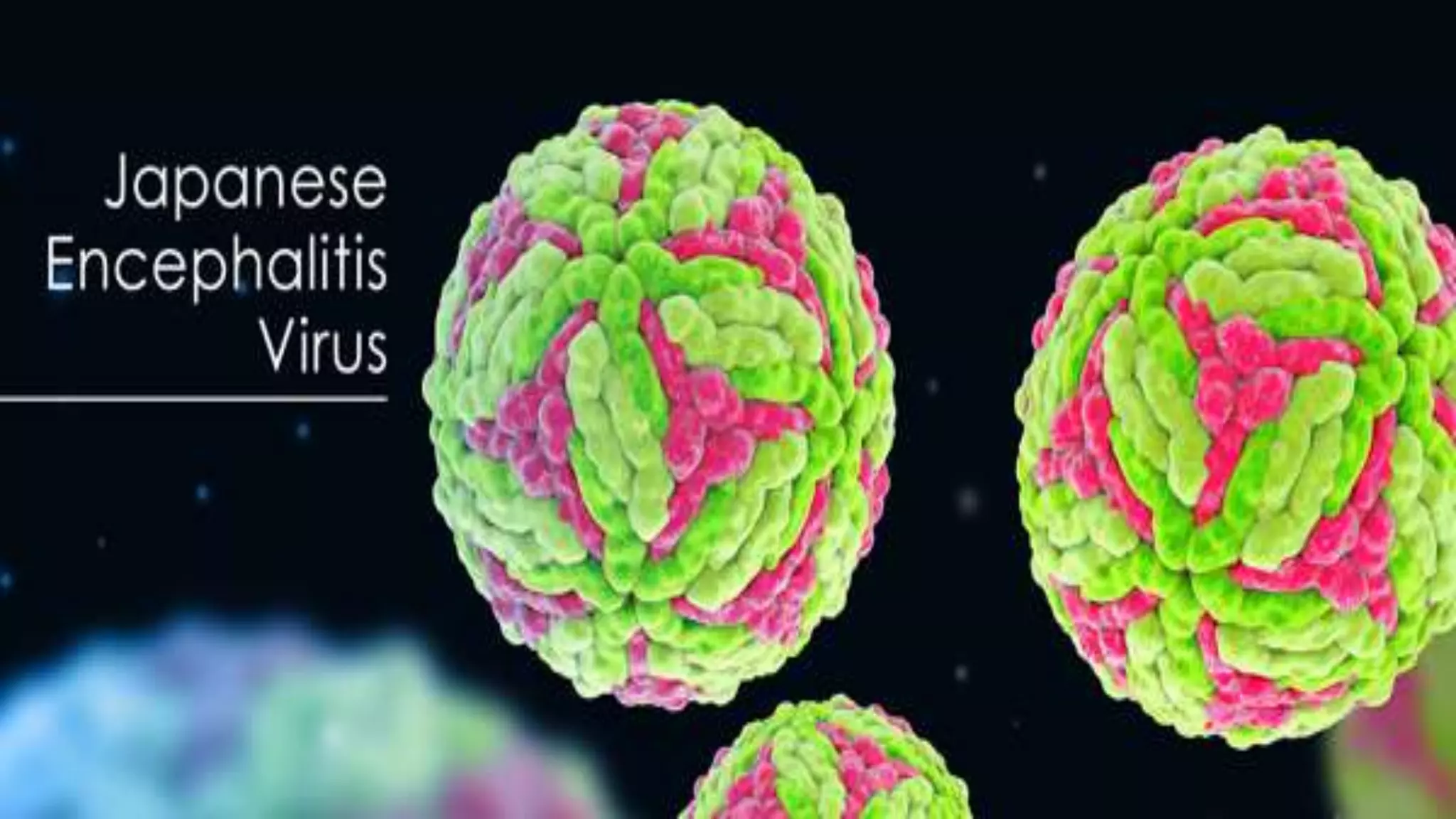 Viral infections.pptx