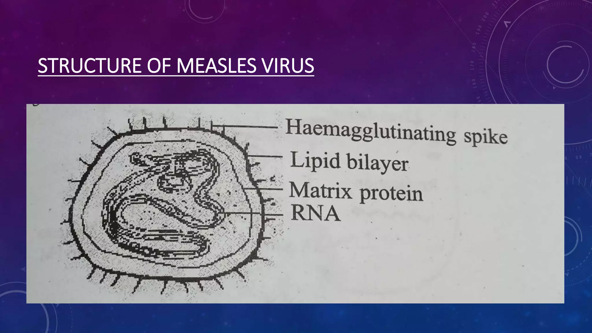 Viral infections.pptx