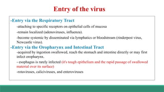 Viral infection diagnostic criteria.pptx