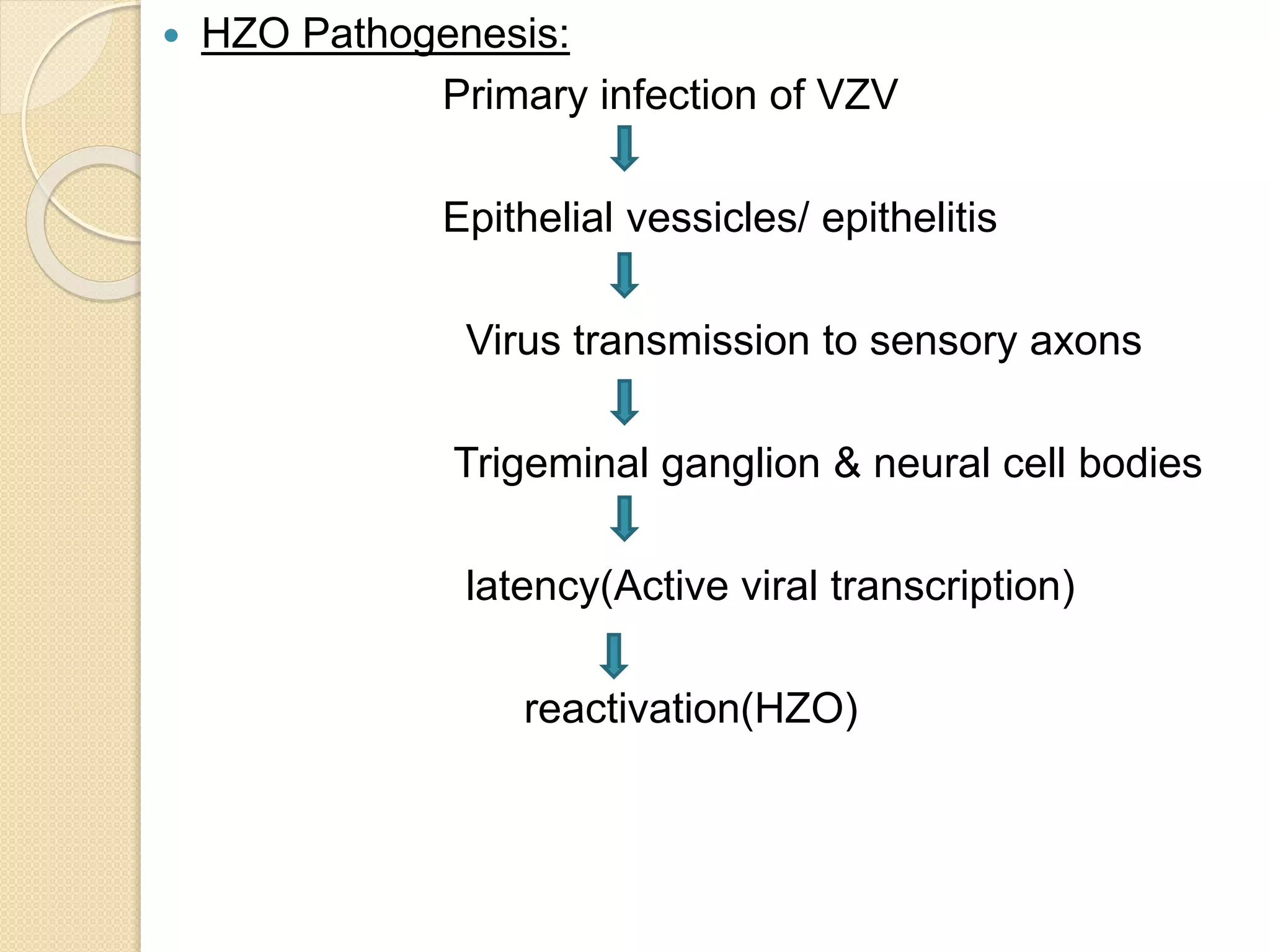 Viral infections of eye | PPTX