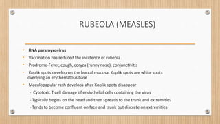 Viral infections of skin.pptx