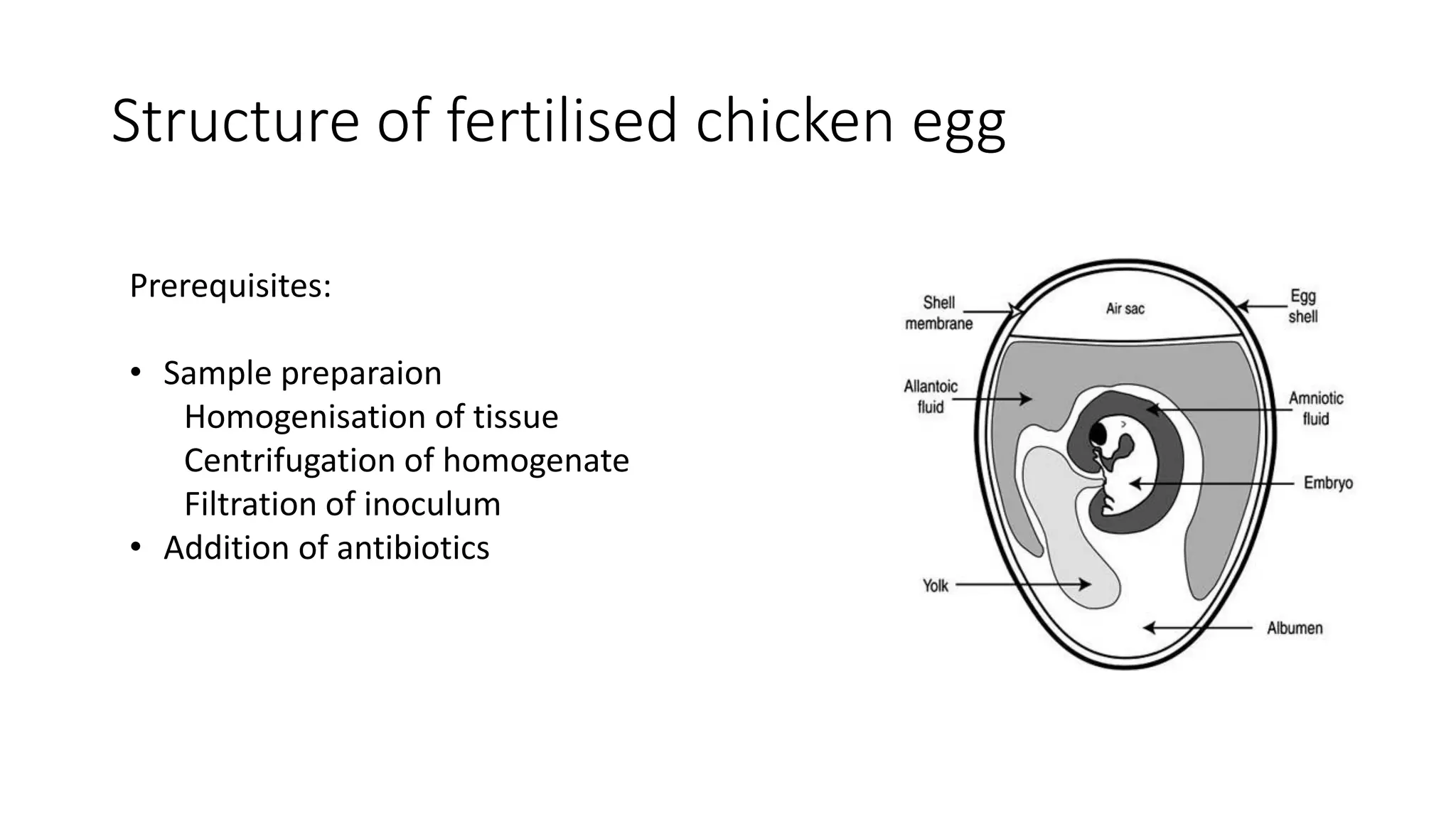 Viral innoculation methods.pdf