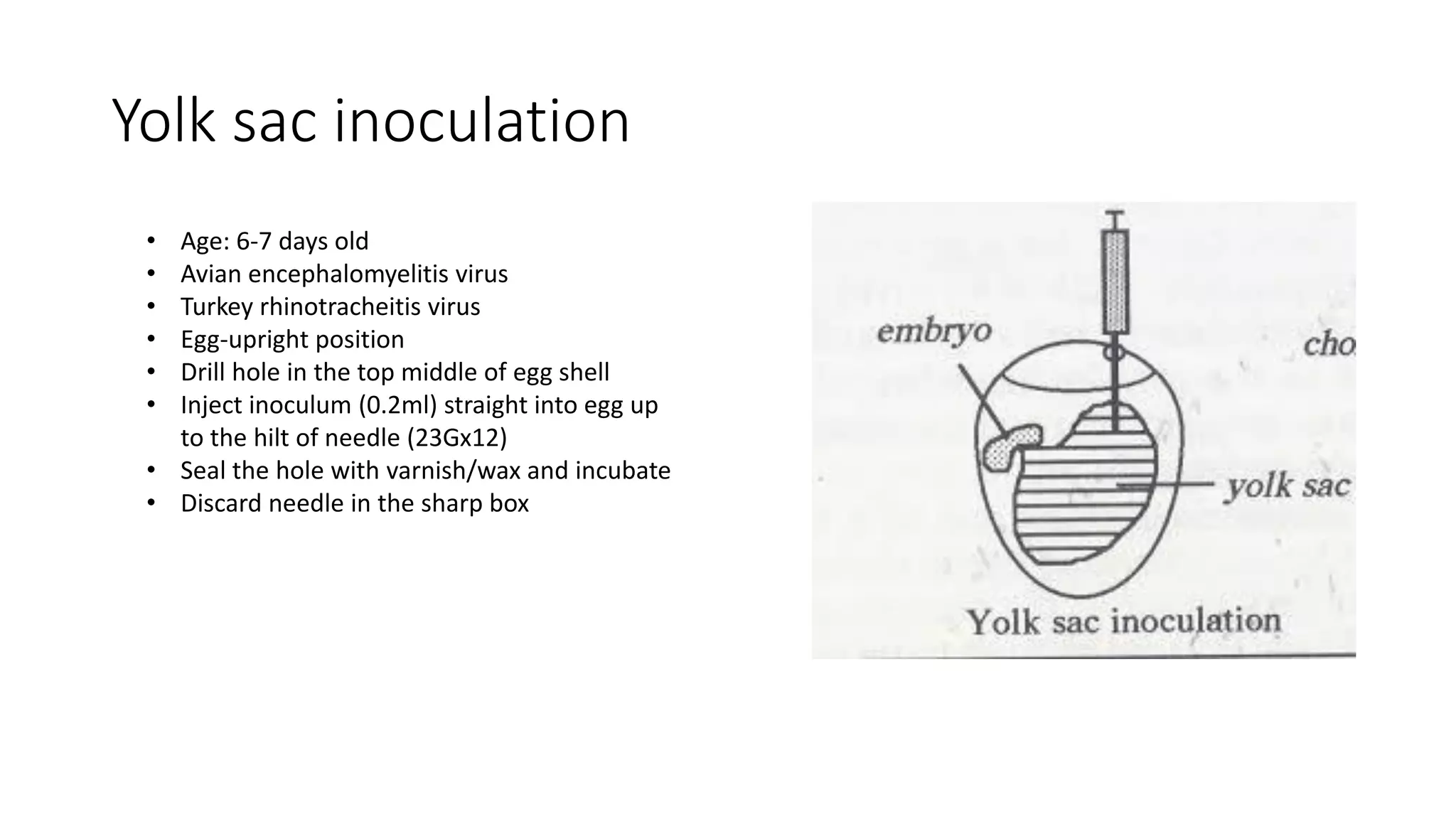 Viral innoculation methods.pdf | Free Download