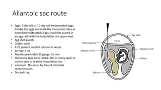 Viral innoculation methods.pdf