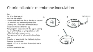 Viral innoculation methods.pdf | Free Download