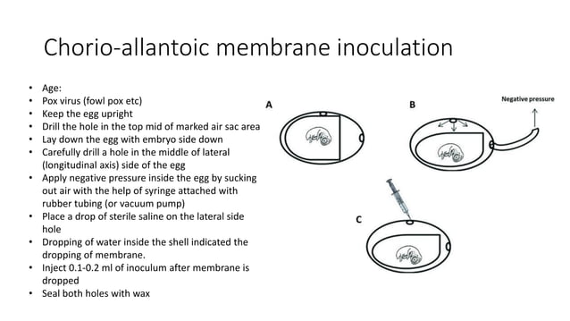 Viral innoculation methods.pdf | Free Download