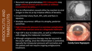 Viral Keratitis: Diagnosis, Management and Latest Guidelines | PPTX