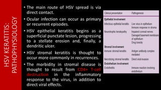 Viral Keratitis: Diagnosis, Management and Latest Guidelines | PPTX
