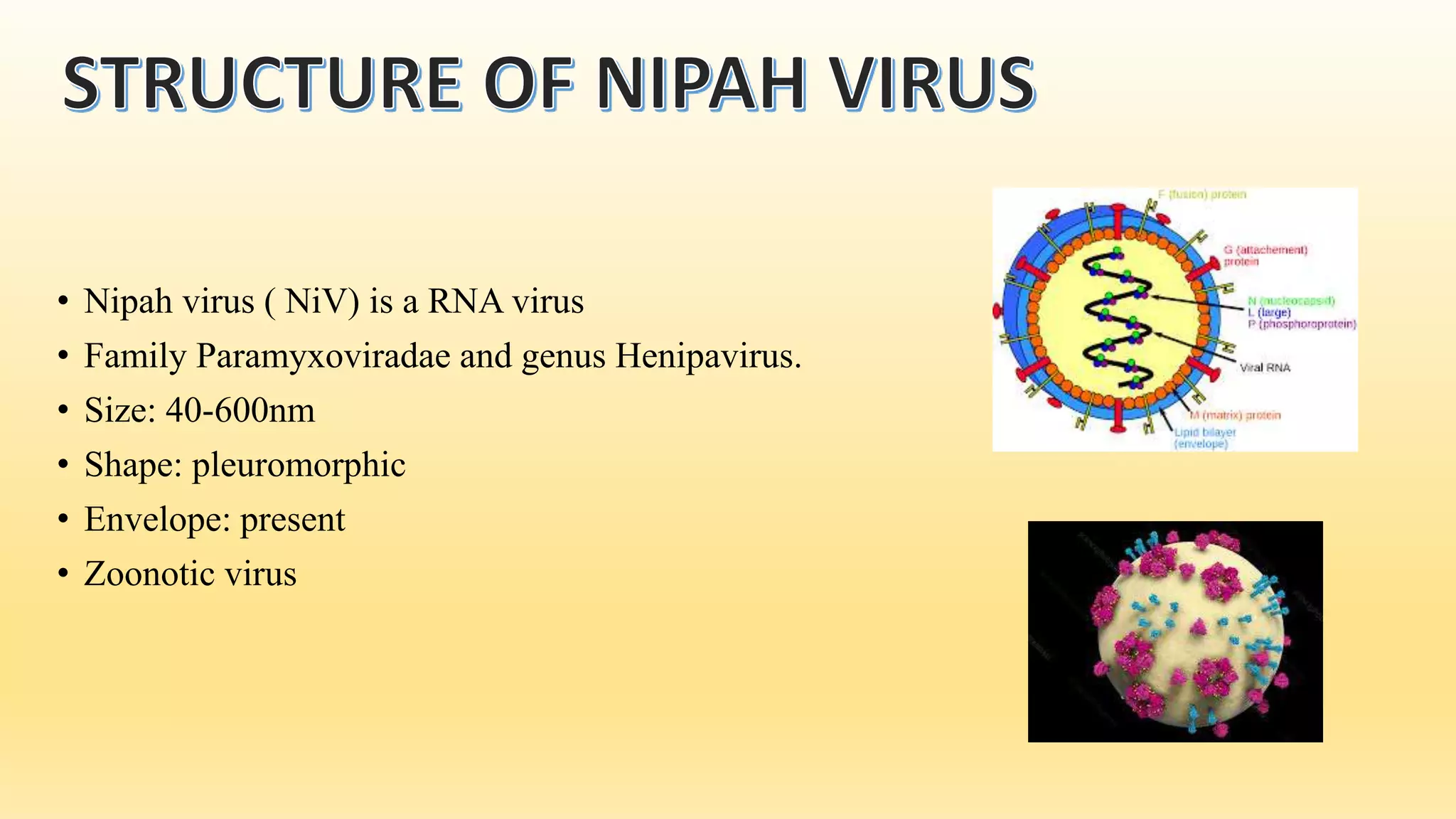 Viral nipah virus.pptx