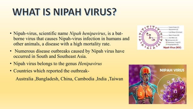 Viral nipah virus.pptx