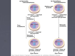 Viral oncogenesis | PPT