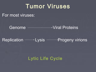 Viral oncogenesis | PPT
