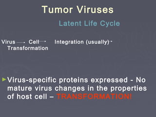 Viral oncogenesis | PPT