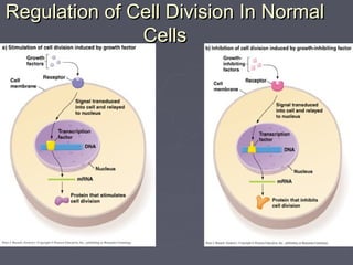 Viral oncogenesis | PPT