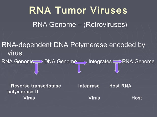 Viral oncogenesis | PPT