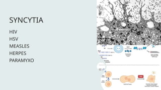 viral pathogenesisviral pathogenesisviral pathogenesisviral ...