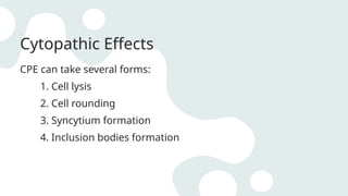 viral pathogenesisviral pathogenesisviral pathogenesisviral ...