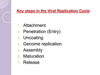 Viral replication | PPTX