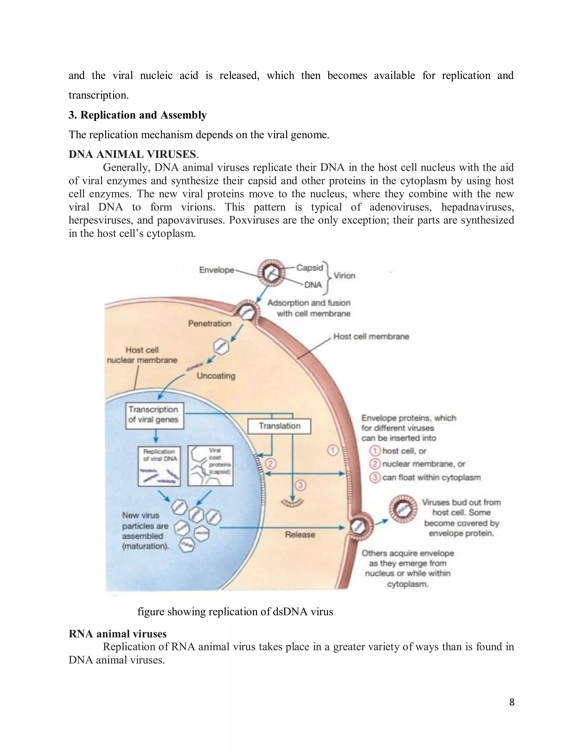 viral_replication.pdf
