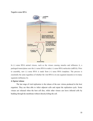 viral_replication.pdf