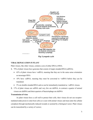 viral_replication.pdf
