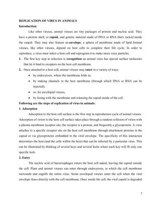 viral_replication.pdf